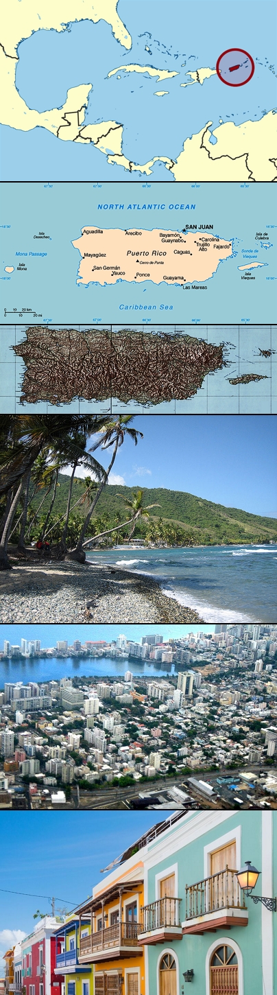 The Diversity Of Seasons Pt 2 – Winter (cont)